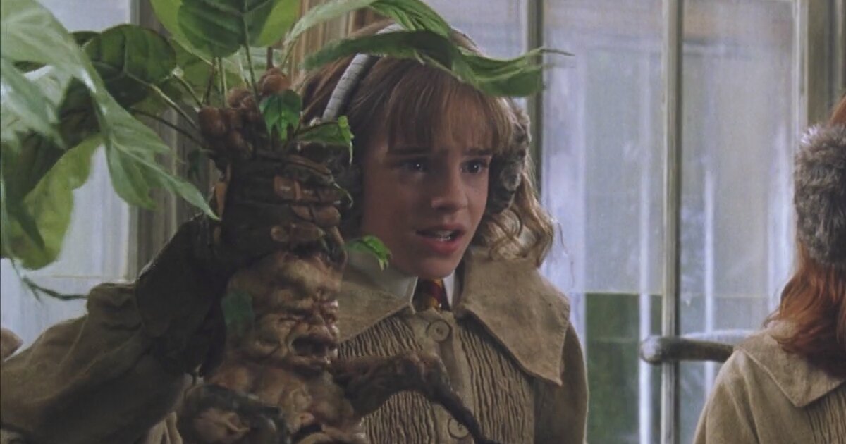Harry Potter and Magical Plants Quiz - By JaneBonny