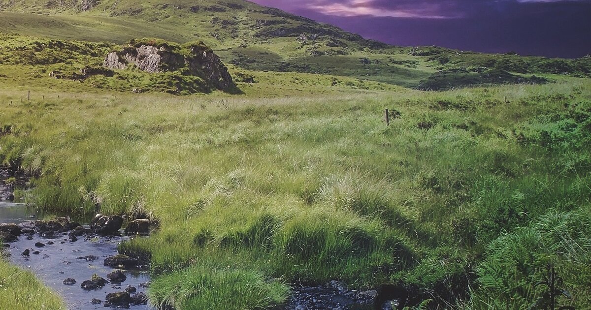 10 Totally Obscure Facts About: 'Predator' Quiz - By lightmyfire77