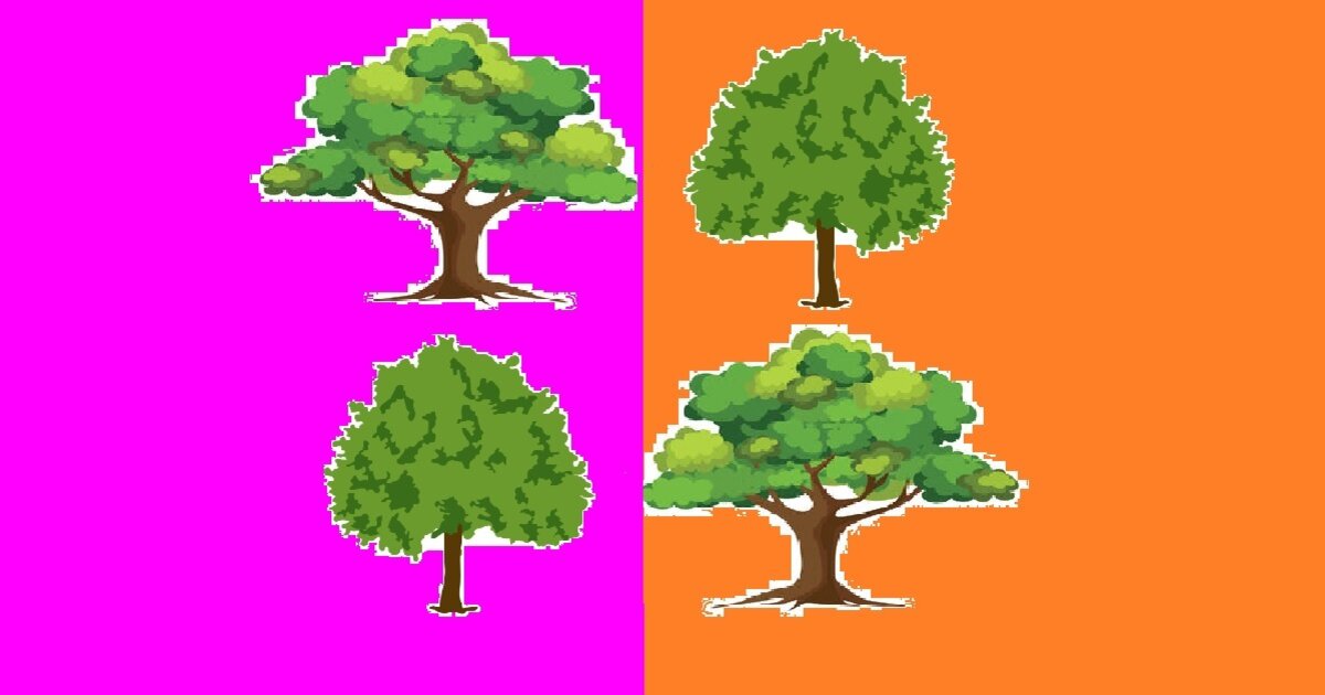 Oaks and Elms 3 - Colour Mis-Match Quiz - By FGR