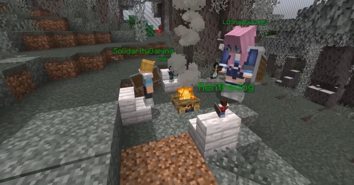 Wild Life SMP episode 1 Quiz - By Pandapants