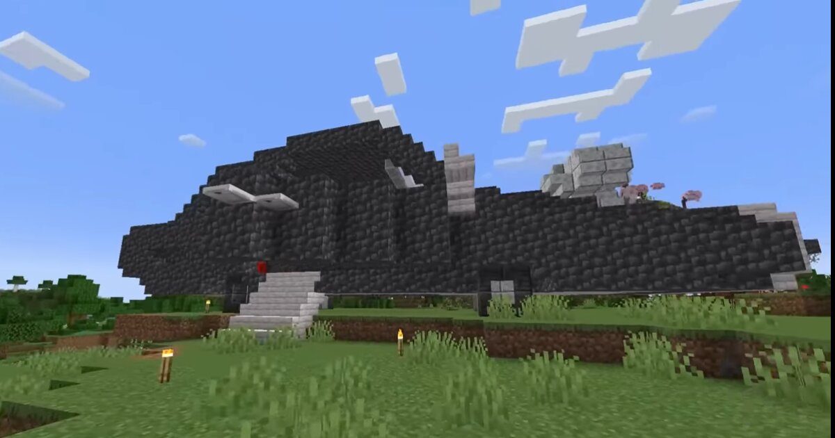 Wild Life SMP episode 2 Quiz - By Pandapants