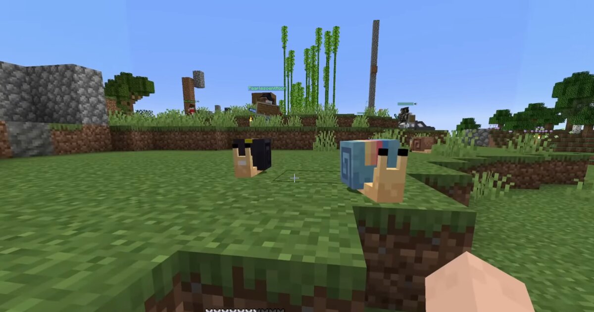 Wild Life SMP episode 3 Quiz - By Pandapants