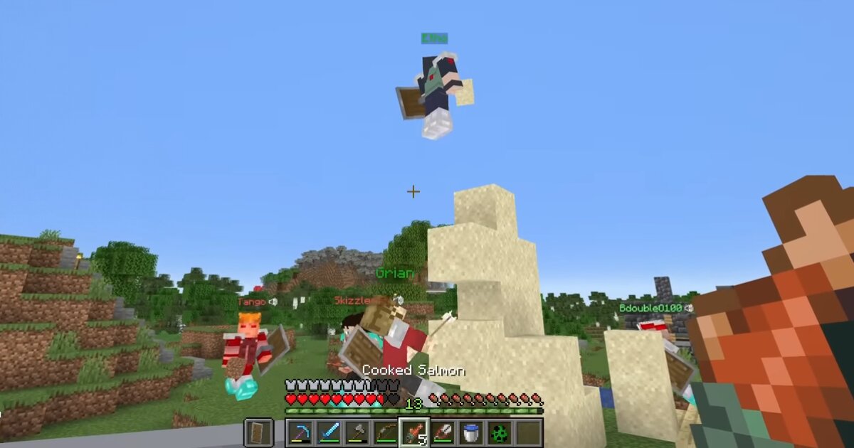 Wild Life SMP Episode 4 Quiz - By Pandapants