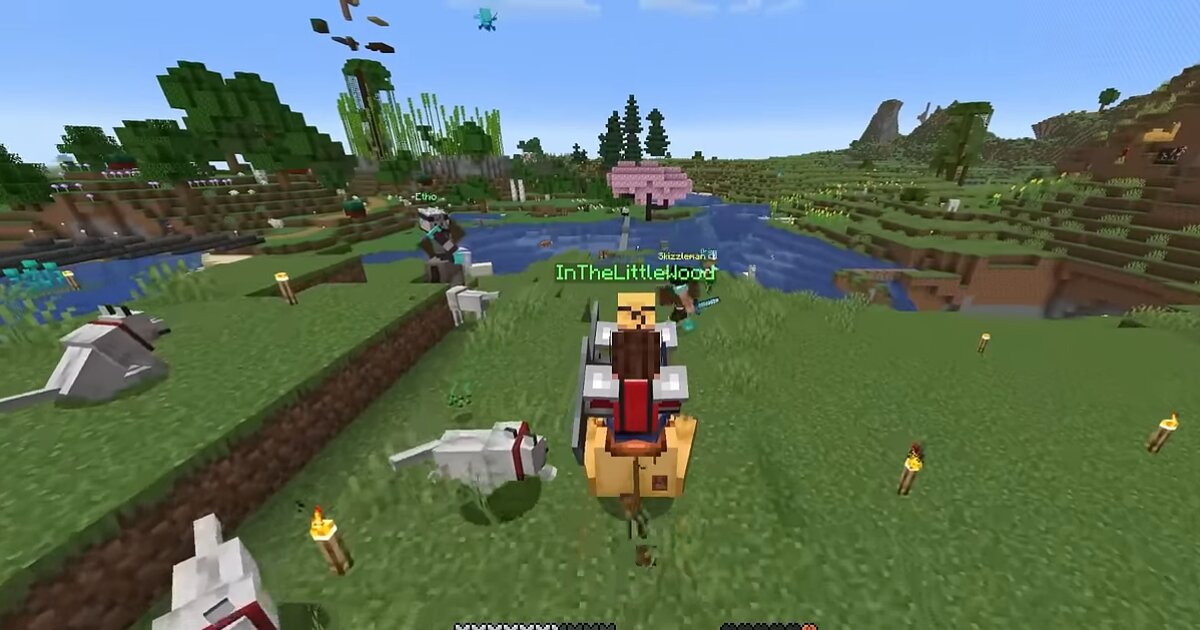 Wild Life SMP Episode 6 Quiz - By Pandapants