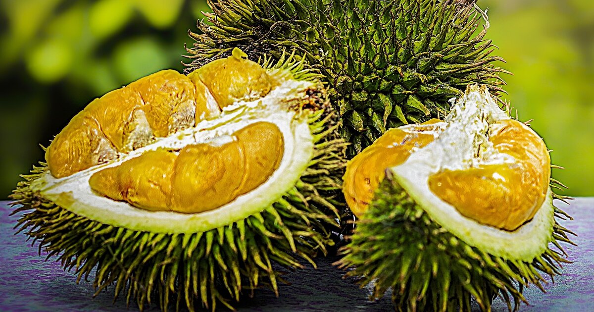 Leave the Fruit Alone! Quiz - By WordsAndNumbers