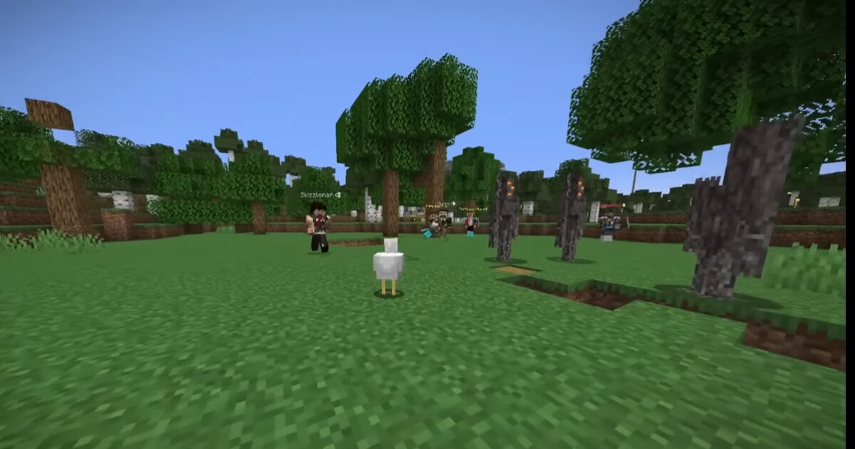 Wild Life SMP episode 7 Quiz - By Pandapants