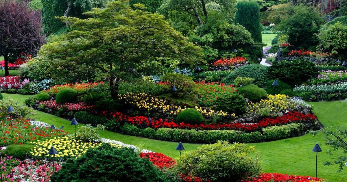 Species Sort: Plants pt. 4 Quiz - By Tasi