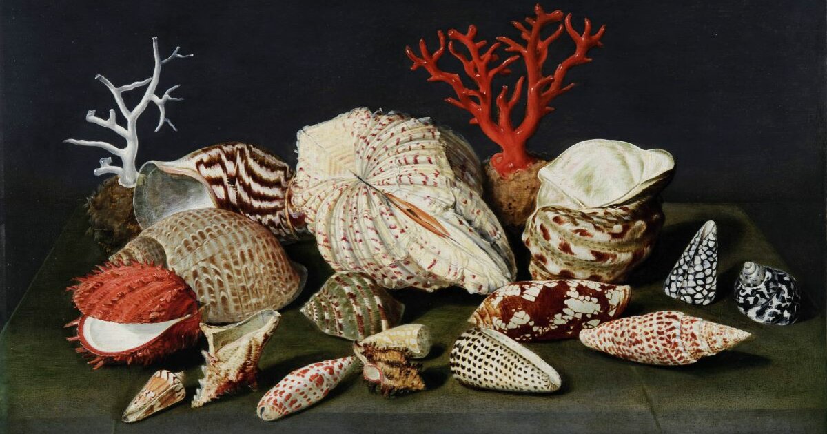 Famous Art - Seashells Quiz - By hazelnuts