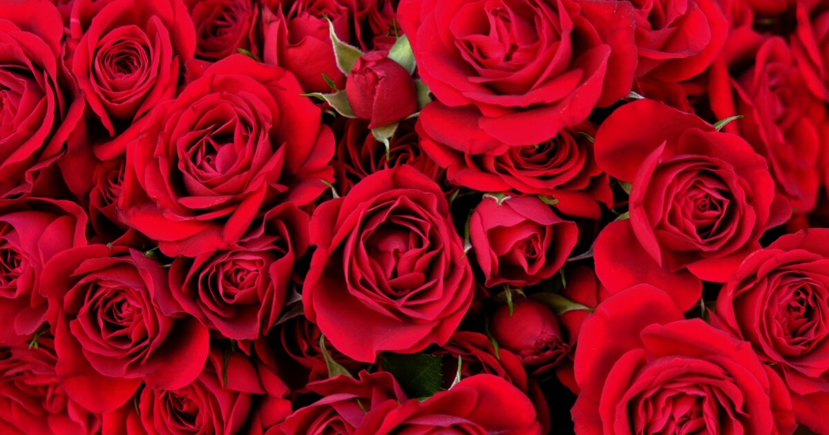 Short Order: Valentine's Day by Scrabble Points Quiz - By BigGJohnsCreek