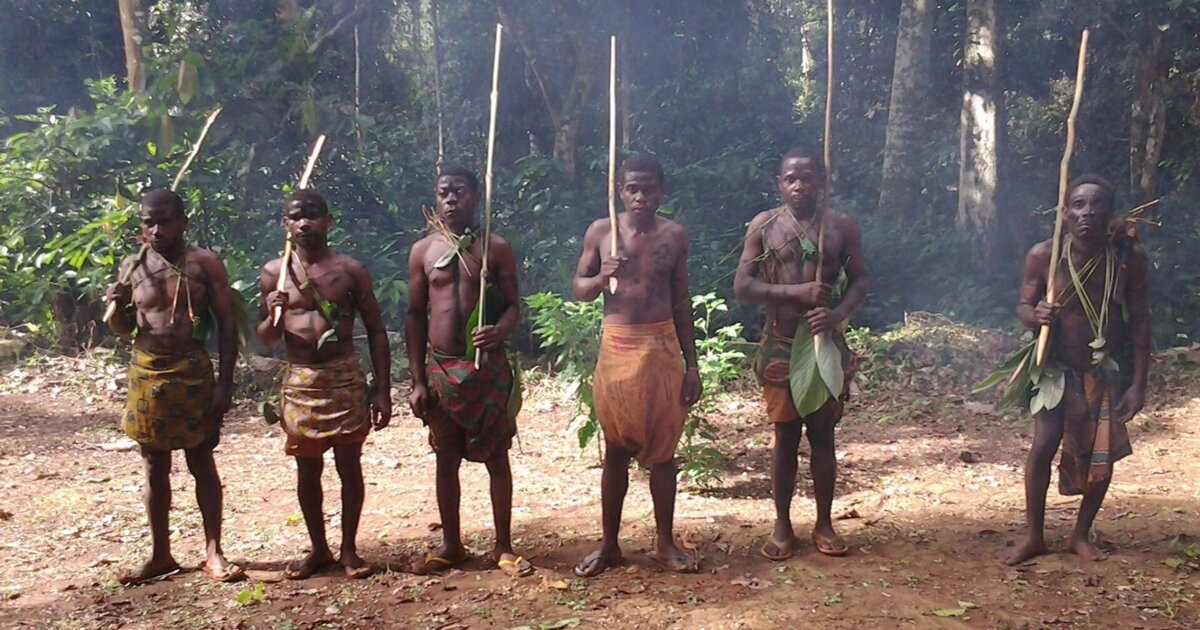 Find the Pygmy Animals Quiz - By alvir28