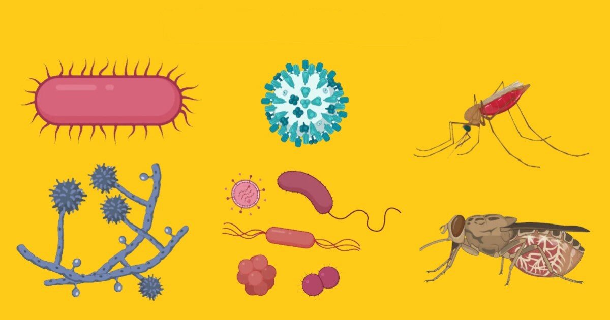 Brain Power - Diseases Quiz - By nabean