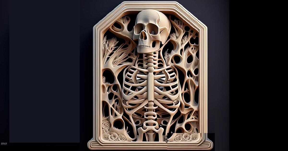 Character Bones Quiz - By Ziggy_Montgomery