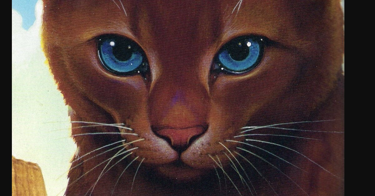 Warrior Cats All SkyClan Cats by Pelt Color Quiz - By spiderwing21