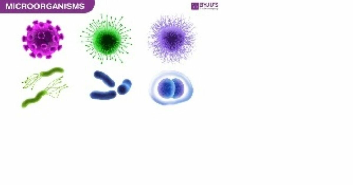 Microbiology Terms starting with A Quiz - By Narduc