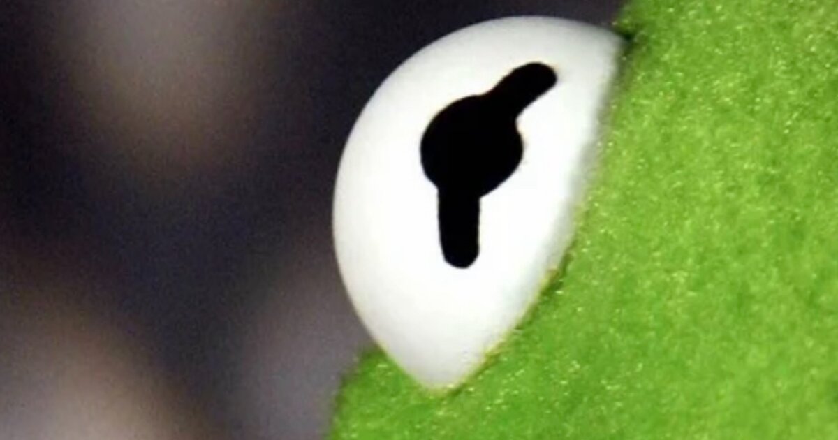 Extreme Close-Up: The Muppets Quiz - By BBoy77