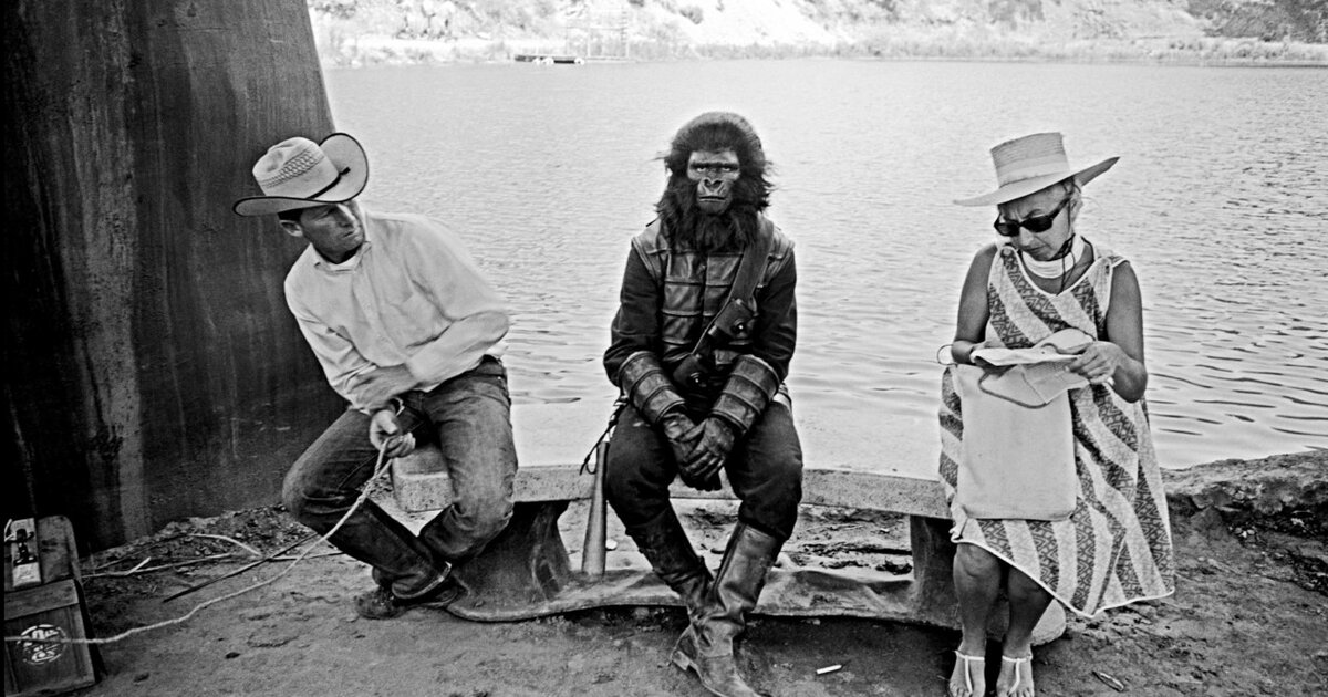 'P' Movies Behind the Scenes Quiz - By Perspektive