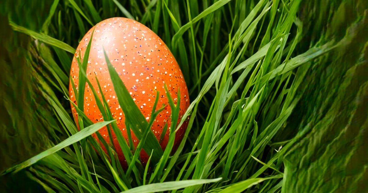 Word Search: Egg Hunt Quiz - By BBoy77