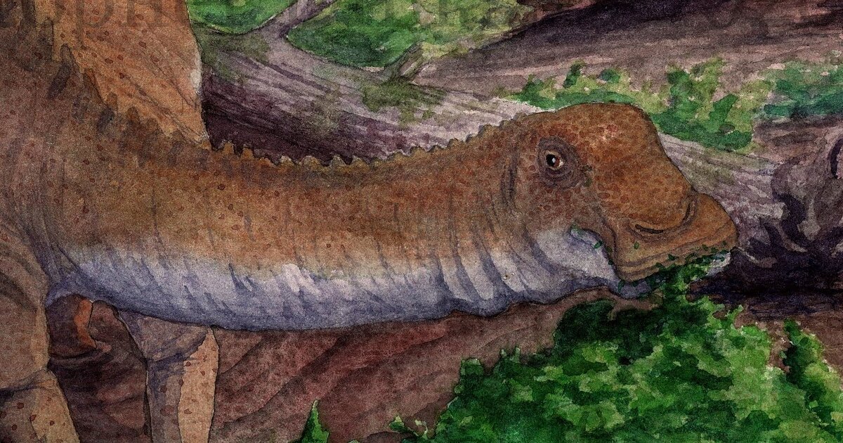 Extinct animals (part 6) Quiz - By Ianknaepen