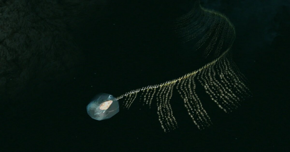 Endless Ocean Creatures in Every Game Quiz - By MRZRanger1