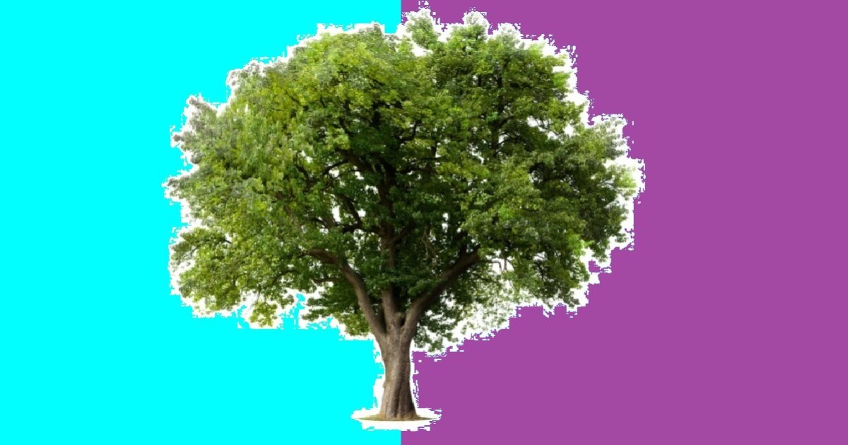 Killer Double Trees 312 - Colour Mis-Match Quiz - By FGR