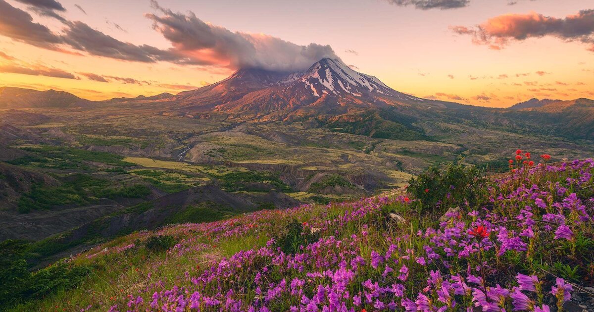 50th Hunger Games: Tribute Outfit Colors Quiz - By JaneBonny