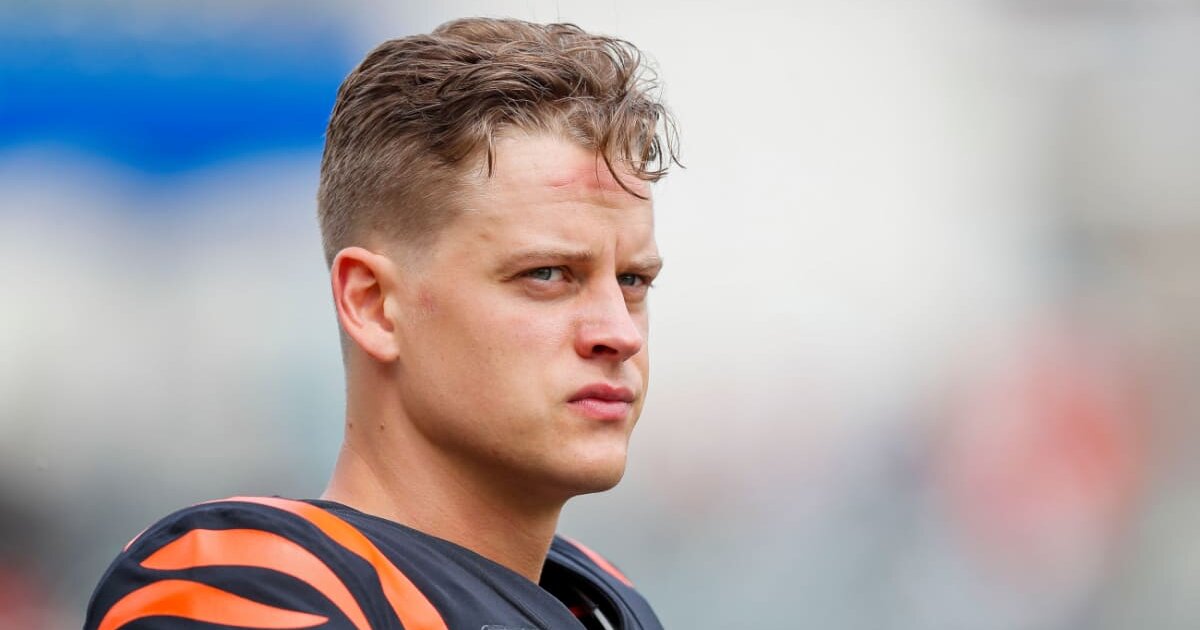 Word Hunt: Cincinnati Bengals Quiz - By cultogon330