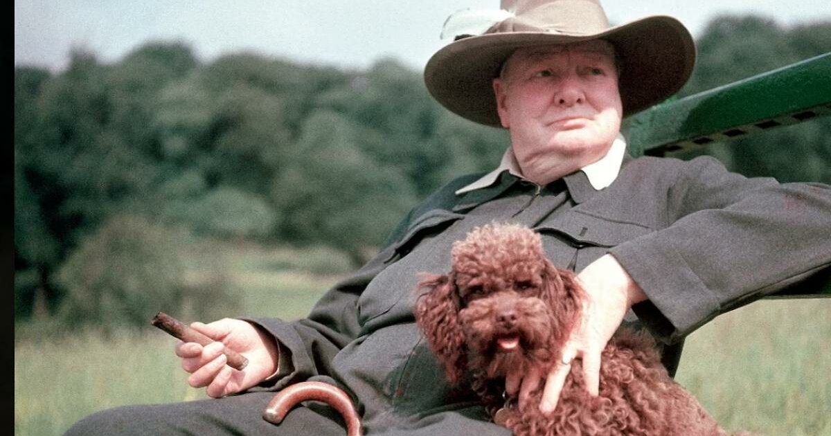 Winston Churchill's animals Quiz - By Starbuck2391