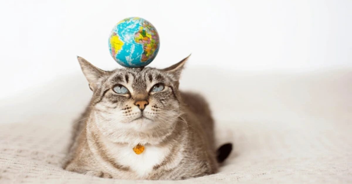 Animals Celebrating Earth Day Quiz - By daisy887