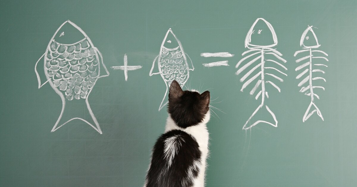 US States: Backwards Quiz - By Carolynn55