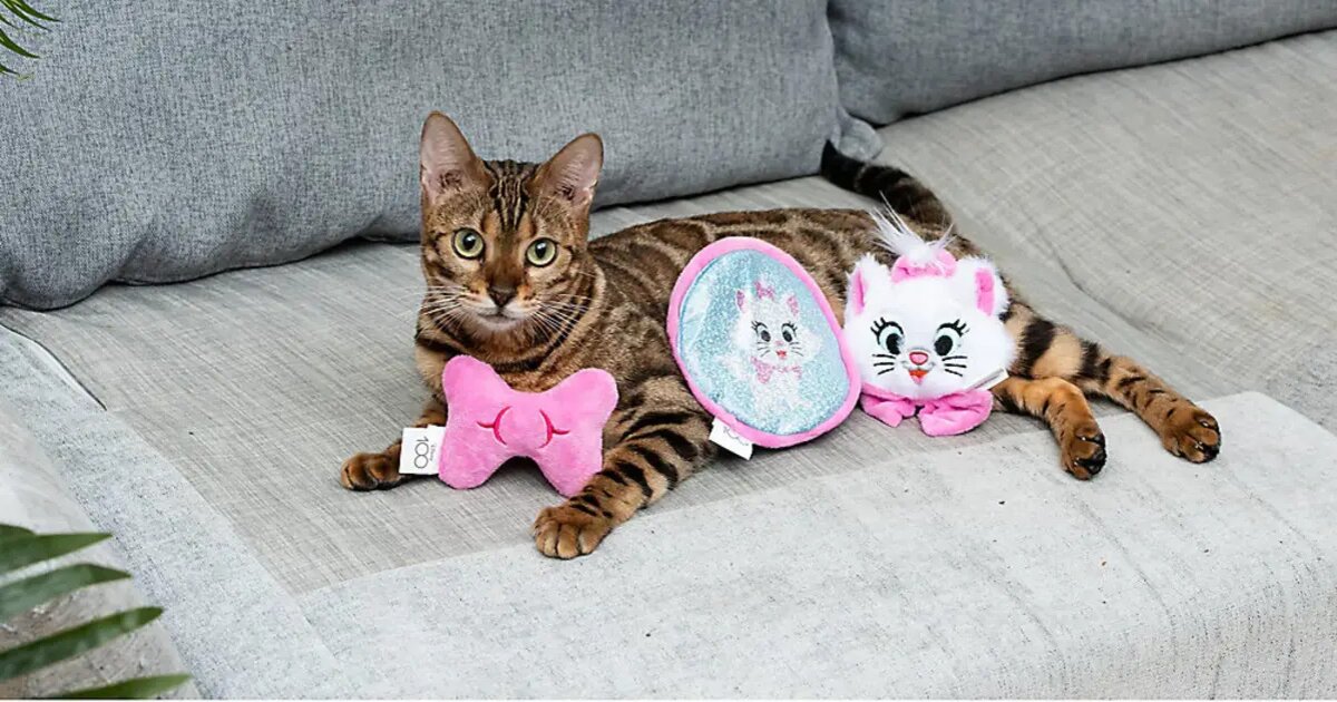 Disney Character by Cat Toy #1 Quiz - By daisy887
