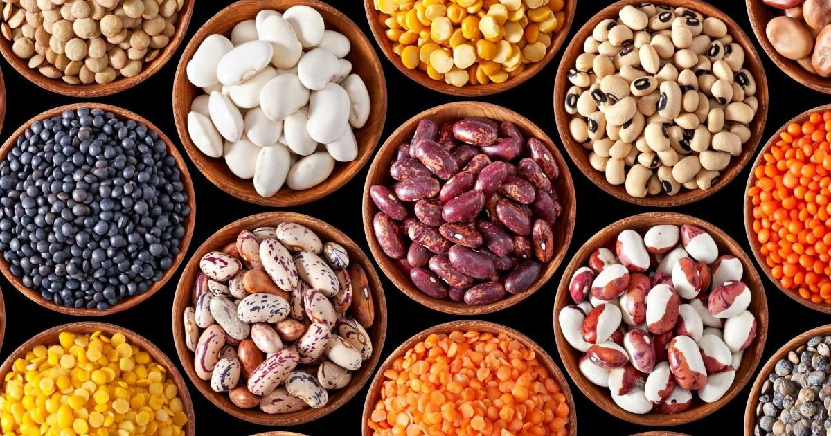 Beans Children's Song Quiz - By caseykatz