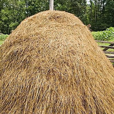 Numbers in a Haystack Quiz