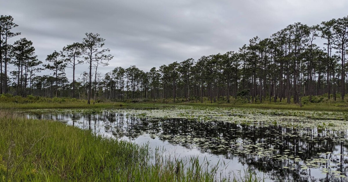 US Level III Ecoregions: Middle Atlantic Coastal Plain Quiz - By joeydeka