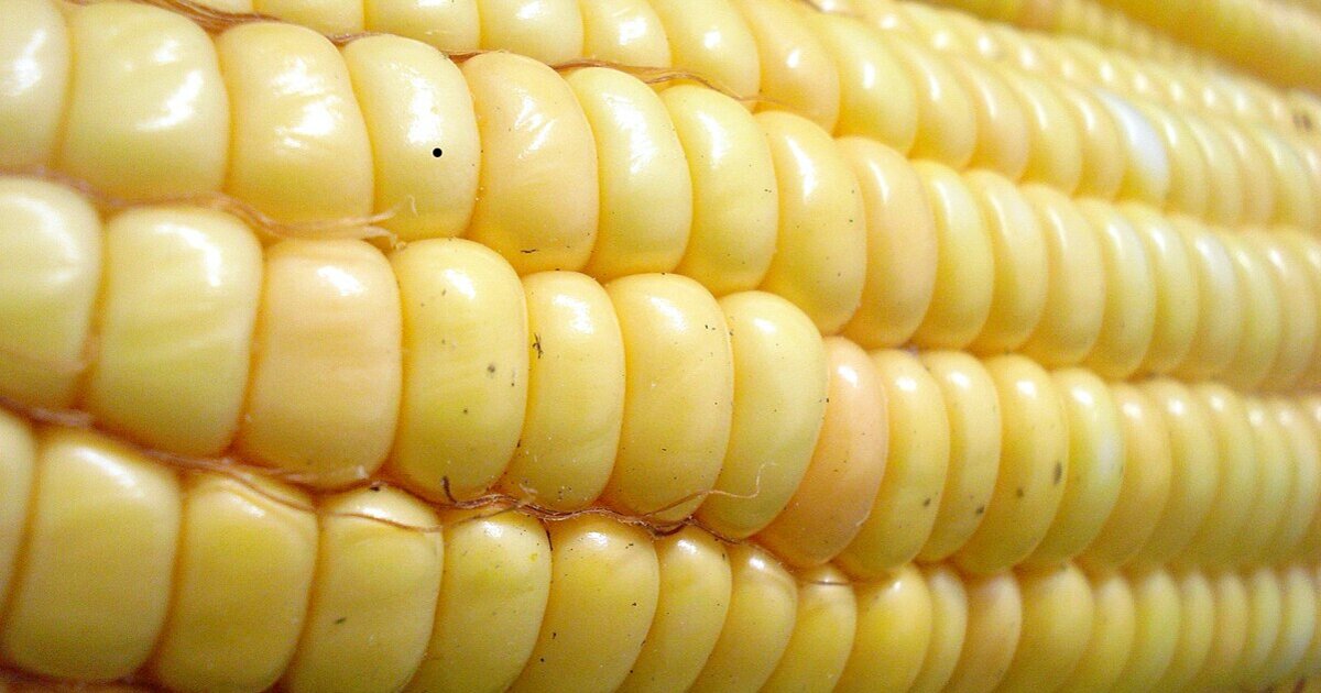 Yellow Things Close-Up Quiz - By johncenafan612