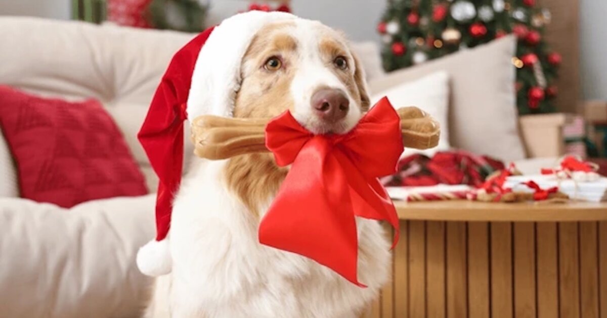 Christmas Carols and Lyrics Parody Quiz - By CGMFan1