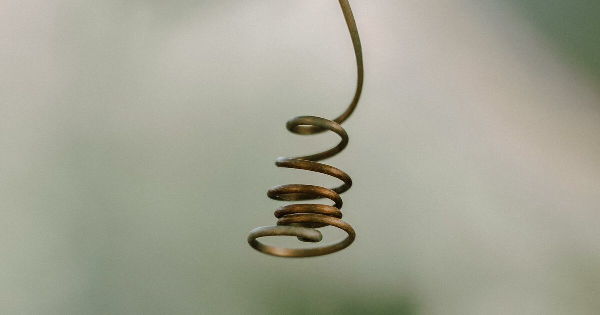 Word Hunt: With a Twist! Quiz - By mxl