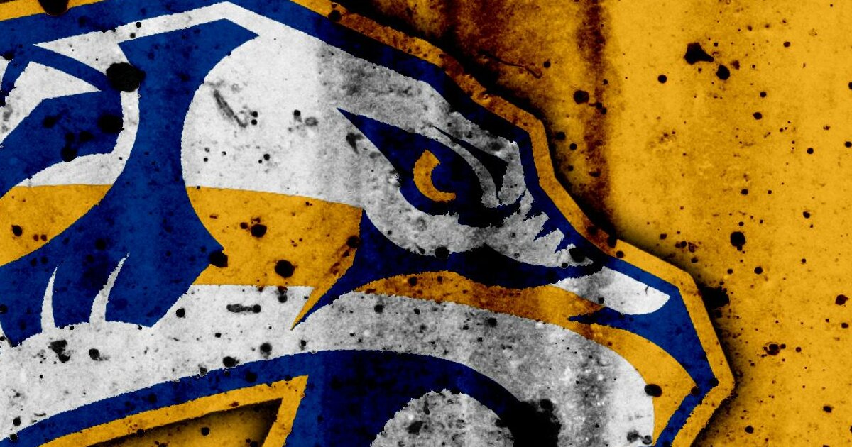 NHL Point Per Game Seasons #4 Nashville Predators Quiz - By Deleted Account
