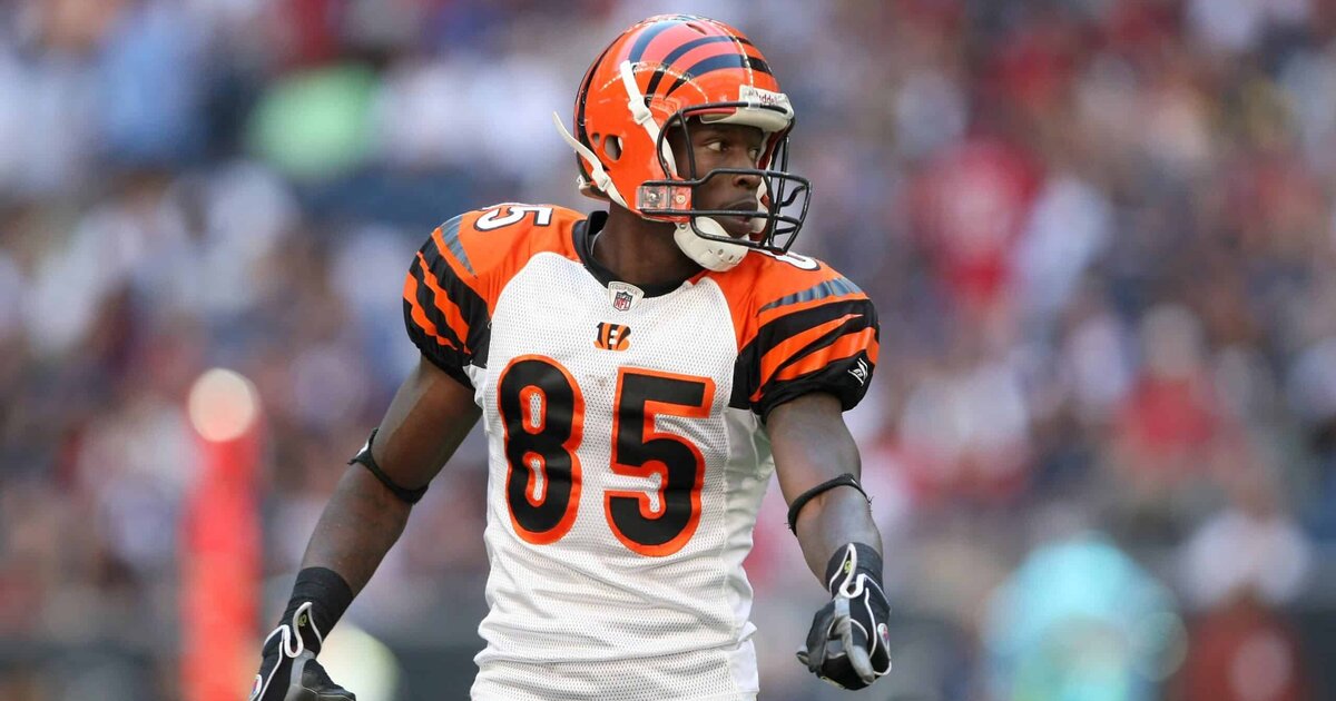 Cincinnati Bengals All-Time Leaders Quiz - By cneufe