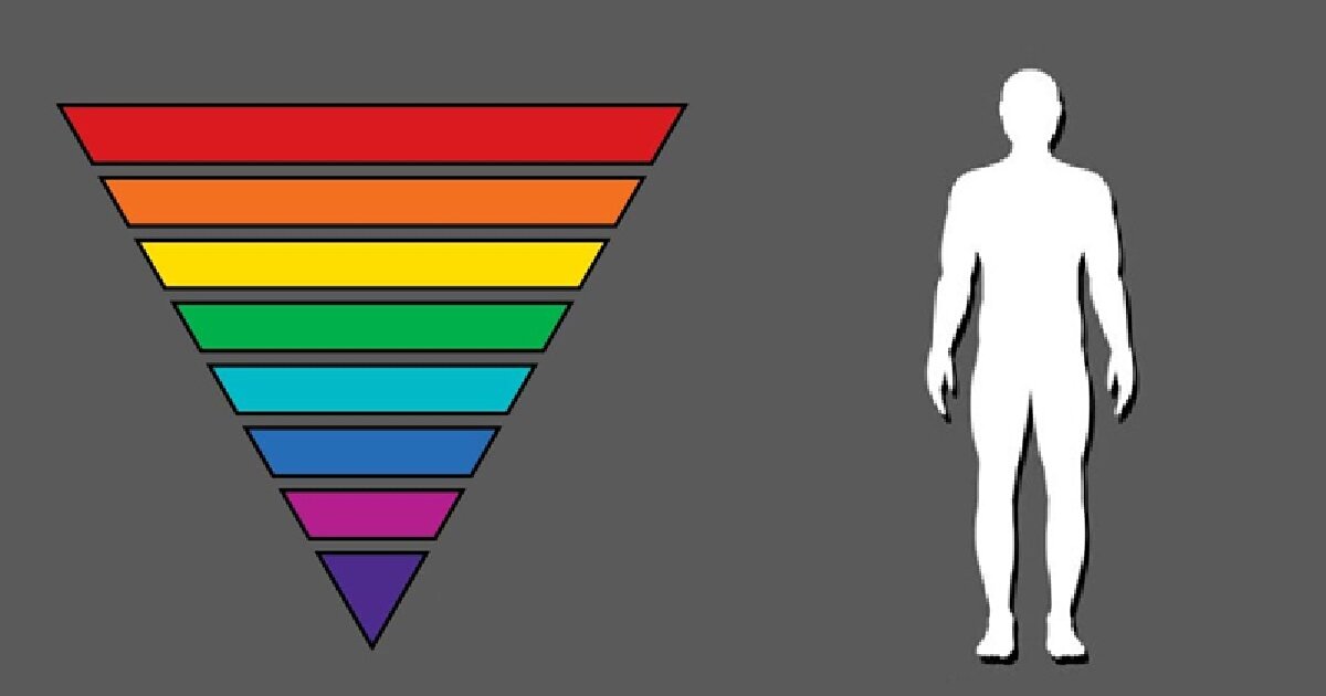 Taxonomy of Humanity Quiz - By Ziggy_Montgomery