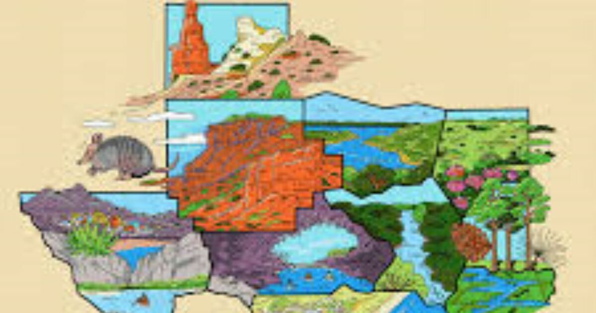 Texas Cities/Towns Word Search Quiz - By alliethebeast