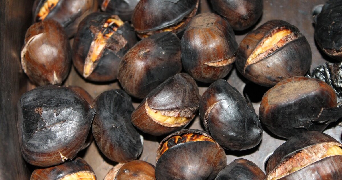 Word Hunt: Chestnut Quiz - By Gemini