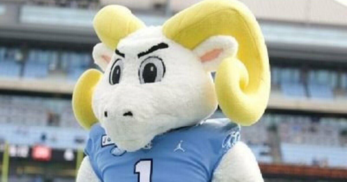 NCAA Football Animals Quiz - By cneufe