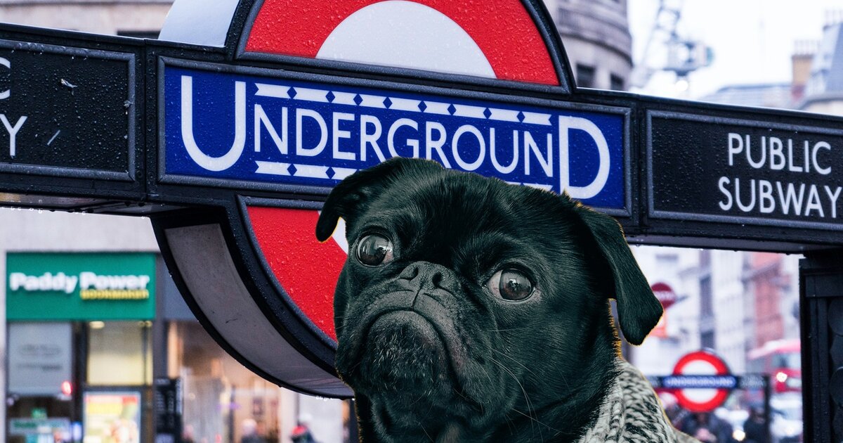 Animals in London Quiz - By adfb