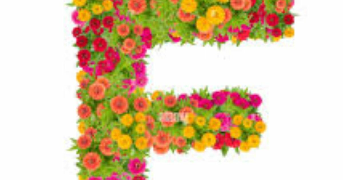 F Cities and Towns in Georgia (US State) Quiz - By Allieannie2025