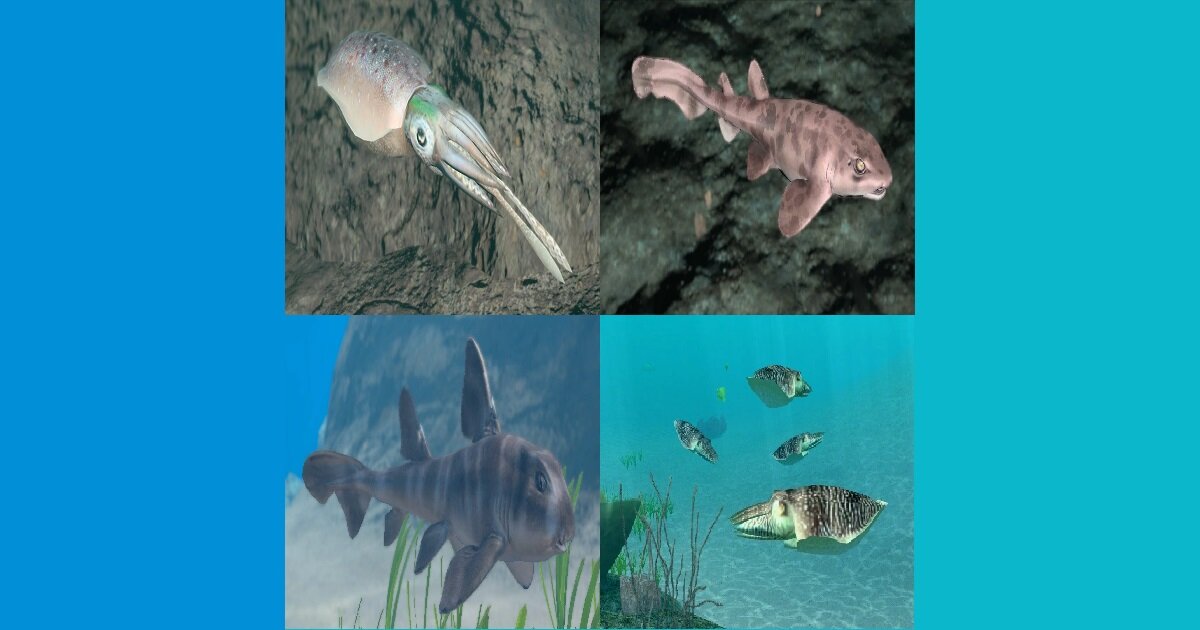 Endless Ocean Creatures Found as Eggs Quiz - By MRZRanger1