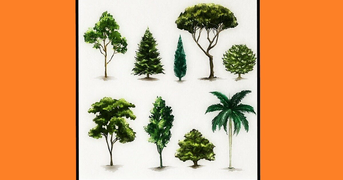 Brain Power - Trees Quiz - By nabean