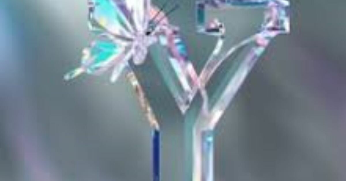 Y Cities and Towns in Georgia (US State) Quiz - By lettergspo