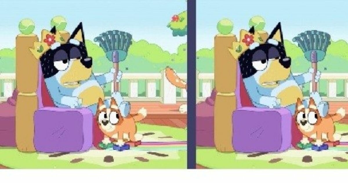 Spot the Difference — Bluey Edition #2 Quiz - By Narduc