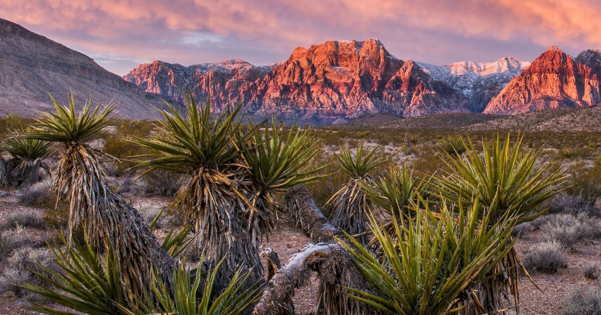 15 Categories of Nevada ⛏️ Quiz - By kellkris