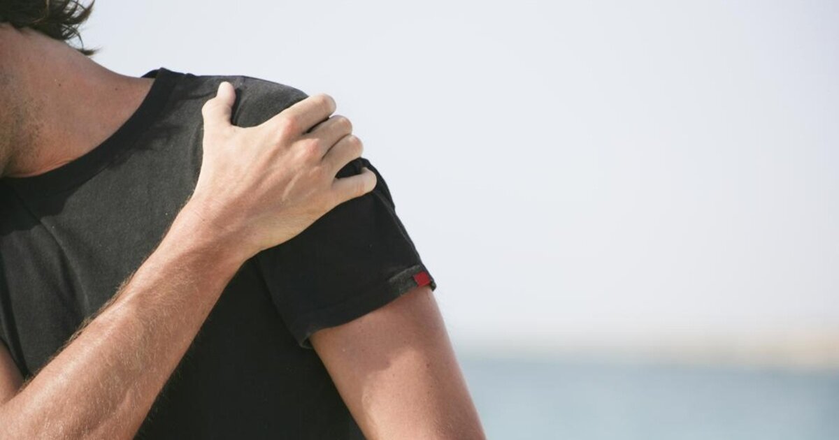 Find the Shoulder Animals Quiz - By alvir28